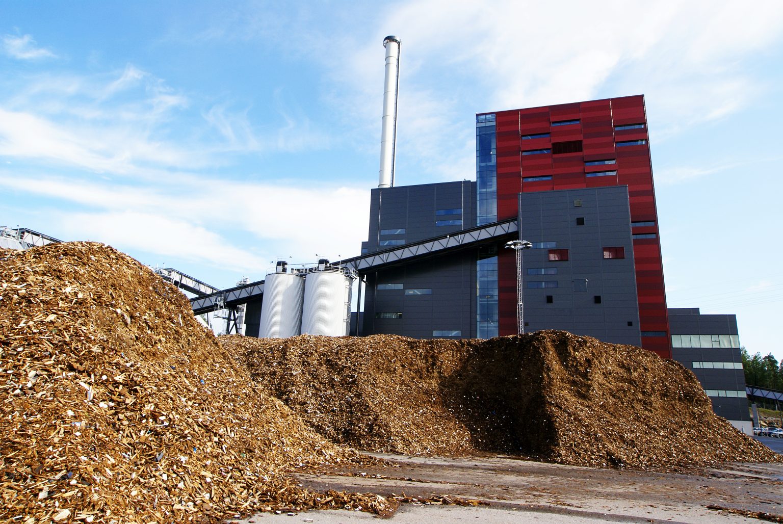 Biomass: A Vital Component of the UK’s Green Energy Transition – Therma ...